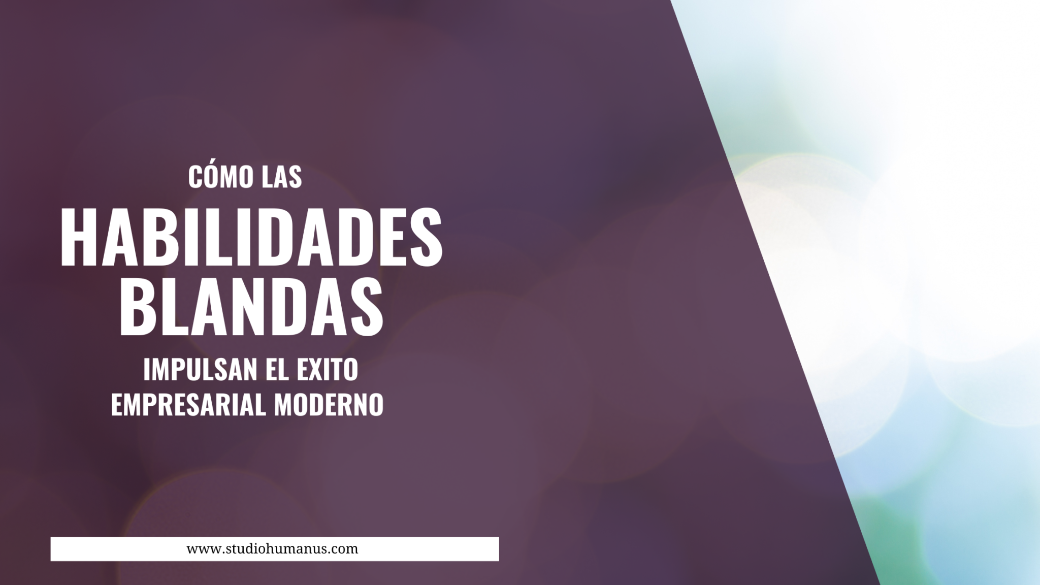 Cómo las Habilidades Blandas Impulsan el Éxito Empresarial Moderno - Studio Humanus